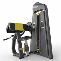 China Professional Gym Fitness Equipment Seated Bicep Machine for Strength Training Workout for sale
