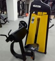 China Professional Gym Fitness Equipment Seated Bicep Machine for Strength Training Workout for sale