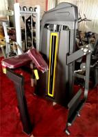 China Professional Gym Fitness Equipment Seated Bicep Machine for Strength Training Workout for sale