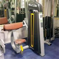 China Professional Gym Fitness Equipment Seated Bicep Machine for Strength Training Workout for sale