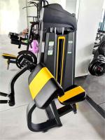 China Professional Gym Fitness Equipment Seated Bicep Machine for Strength Training Workout for sale