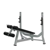 China Logo Minimum Customization Be Freeman Design Strength Training Adjustable Decline Bench for sale