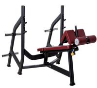 China Logo Minimum Customization Be Freeman Design Strength Training Adjustable Decline Bench for sale