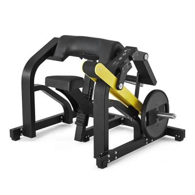 China Direct Gym Fitness Equipment Seated Bicep Curl Machine with Customerized Option for sale