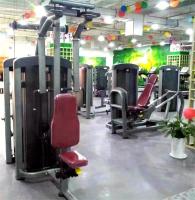 China Commercial Gym Equipment Multi Functional Trainer for Chest Press and Back Extension for sale