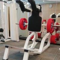 China Home Commerical Exercise Plate Loaded Machines for Leg Press and Hack Squat Back Training for sale