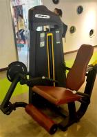 China Bodybuilding Pin Load Selection Seated Leg Extension Machine for Functional Training for sale