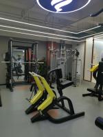 China Home Gym Fitness Equipment Plate Loaded Shoulder Press Customized for High Standards for sale