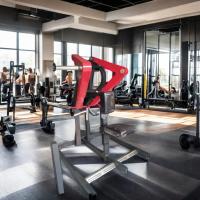 China Medium Loader Steel Rowing Equipment for Back Workouts at Befreeman Commercial Gym for sale