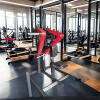 China Medium Loader Steel Rowing Equipment for Back Workouts at Befreeman Commercial Gym for sale