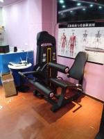 China Home Gym Exercise Equipment 2 in 1 Seated Leg Extension Curl Machine for Body Building for sale