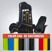 China Home Gym Exercise Equipment 2 in 1 Seated Leg Extension Curl Machine for Body Building for sale