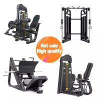 China Home Gym Exercise Equipment 2 in 1 Seated Leg Extension Curl Machine for Body Building for sale