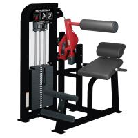 China Commercial Strength Training Back Extension Machine Gym Workout Style with Weights for sale