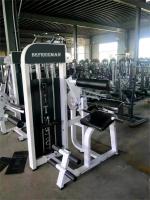 China Commercial Strength Training Back Extension Machine Gym Workout Style with Weights for sale