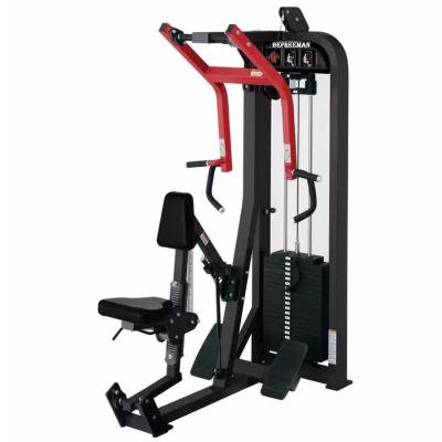 China Indoor Sport Steel Pin Load Selection Back Extension Seated Row Machine for Commercial for sale