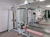 China Medium Loader Pin Load Selection Seated Row Machine for Home Gym Fitness Equipment for sale