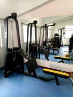 China Medium Loader Pin Load Selection Seated Row Machine for Home Gym Fitness Equipment for sale