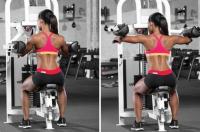 China Fitness Sport Medium Loader Pin Loaded Seated Lateral Shoulder Raise Machine for Gym for sale