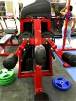 China Indoor Sport Commercial Seated Lateral Raise Machine for Effective Shoulder Workouts for sale