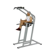 China Gym Center Frame Color Optional Selectable Chin Dip Leg Raise Exercise Fitness Machine for sale