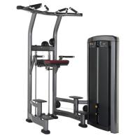 China Body Building Workout Universal Pin Load Selection Machines Assisted Chin Dip Machine for sale