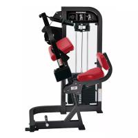 China 1300*1120*1630 Steel Triceps Press Dip Machine for Strength Training and Medium Loader for sale