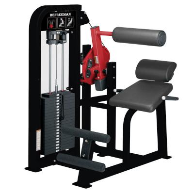 China Medium Loader Type Steel Seated Back Extension Machine for Strength Training Fitness Equipment for sale