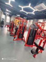 China Medium Loader Type Steel Seated Back Extension Machine for Strength Training Fitness Equipment for sale