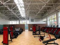 China Medium Loader Type Steel Seated Back Extension Machine for Strength Training Fitness Equipment for sale