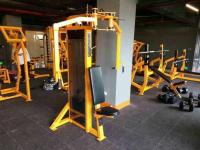 China Medium Loader Type Steel Seated Back Extension Machine for Strength Training Fitness Equipment for sale