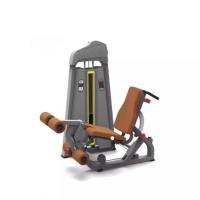 China Multiplayer Training Gym Equipment Commercial Pin Load Machine 2 in 1 Seated Leg Extension Leg Curl Machine for sale