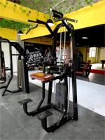 China Medium Loader Fitness Strength Training Pin Load Selection Machines Pull Up Dip Station 1500*1205*2310 for sale