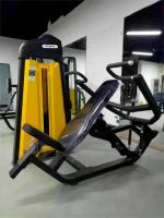 China Medium Steel Loader ISO Incline/Decline Chest Shoulder Press Machine for Gym Back Arm for sale