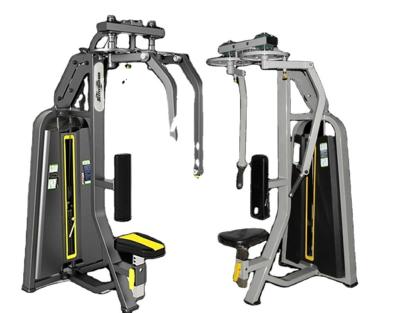 China Pin Loaded Rear Delt and Pec Fly Machine Your Essential Strength Training Companion for sale