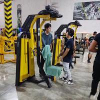 China Pin Loaded Rear Delt and Pec Fly Machine Your Essential Strength Training Companion for sale