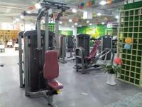 China Commercial Medium Loader Fitness Gym Strength Training Pin Load Selection Pec Fly Machine for sale