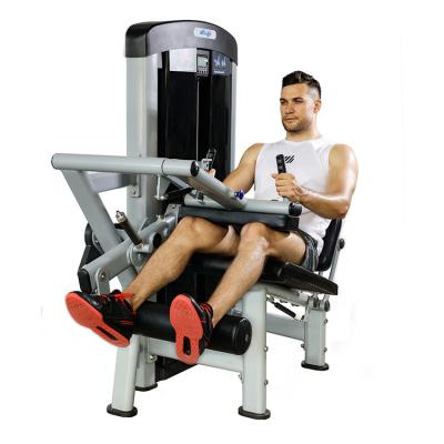 China Steel Q235 Leg Curl Machine for Strength Training Pin Load Selection and Bodybuilding for sale