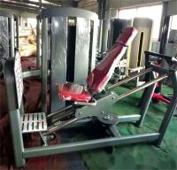 China Pin Loaded Horizontal Seated Leg Press Customerized Steel Strength Training Equipment for sale