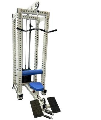 China Strength Training 2 in 1 High Pull Low Row Fitness Equipment with Multi-Level Adjustment for sale