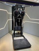 China Maximize Your Gains Standing Multi Flight Lateral Raise for Home Commerical Exercise for sale