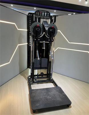 China Maximize Your Gains Standing Multi Flight Lateral Raise for Home Commerical Exercise for sale
