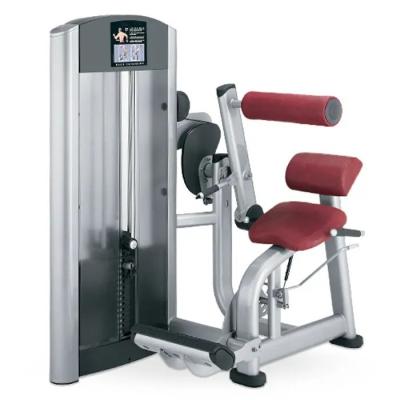 China Commercial Gym Equipment Pin Loaded Abdominal Trainer Adjustable Back Extension Machine for sale
