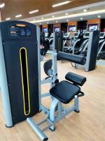 China Commercial Gym Equipment Pin Loaded Abdominal Trainer Adjustable Back Extension Machine for sale