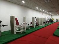 China Commercial Gym Equipment Pin Loaded Abdominal Trainer Adjustable Back Extension Machine for sale