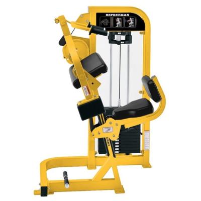 China Triceps Machine for Strength Training Bicep Curl/Tricep Extension in Gym Equipment for sale
