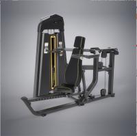 China Back Extension and Shoulder/Chest Press Adjustable Seat Gym Equipment for Fitness Sport for sale