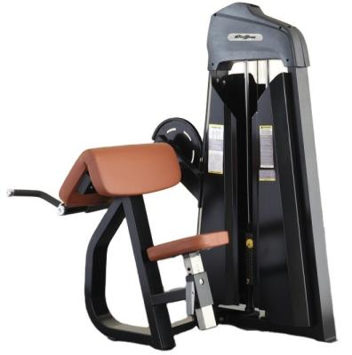 China Commercial Strength Training Gym Equipment Bicep Curl Machine with Customized Design for sale