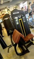 China Pin Loaded Seated Shoulders Back Workout Camber Curl Biceps Machine for Your Gym for sale