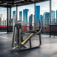 China Freeman Fitness Pin Load Selection Machines for Chest/Shoulder Press and Performance for sale